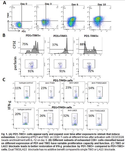 PD1-TIM3+ CELLS ARE THE PREDOMINANT POPULATION OF EXHAUSTED CD8+.... EHA Library. Anagnostou T ...