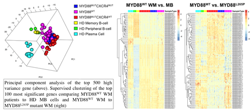 GENOMIC AND CLINICAL CHARACTERIZATION OF THE ROLE OF MYD88 MUTATION ...